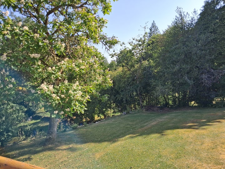 Petit Studio Agréable Avec Jardin Ombragé . - Meymac