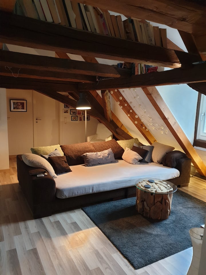 Gemütliche Altstadt -
Dachgeschosswohnung - Amberg