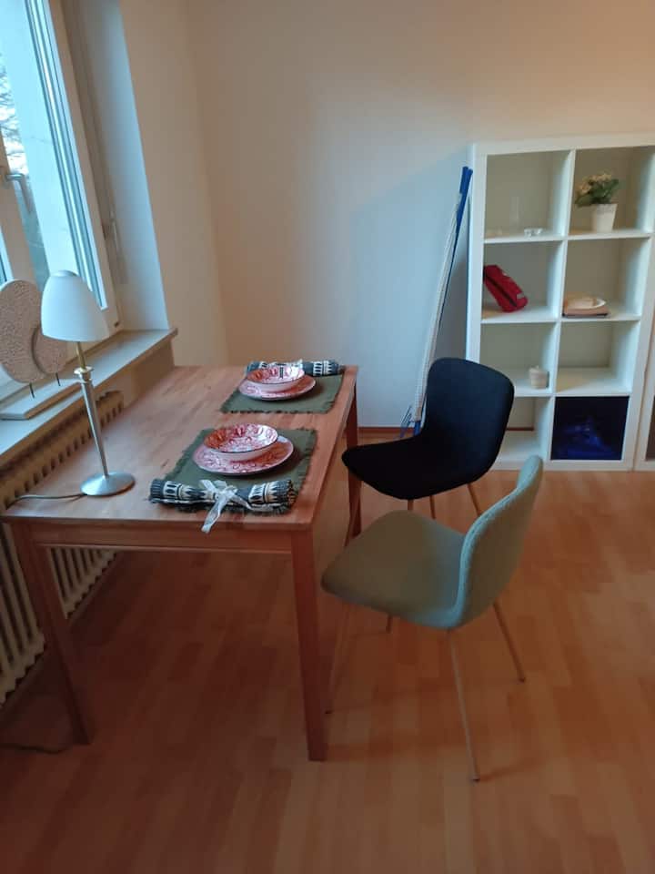 Studio Apartment Near Sbb & City Centre - Basel