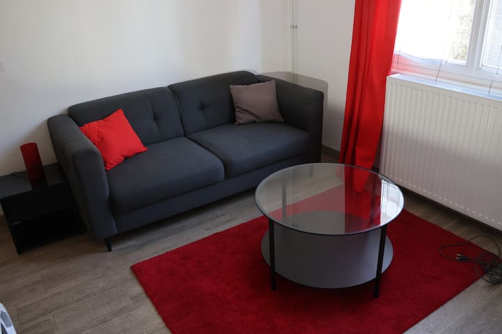 Appartement T2 Spacieux Et Lumineux Au Rdc - Saint-Cyr-sur-Loire