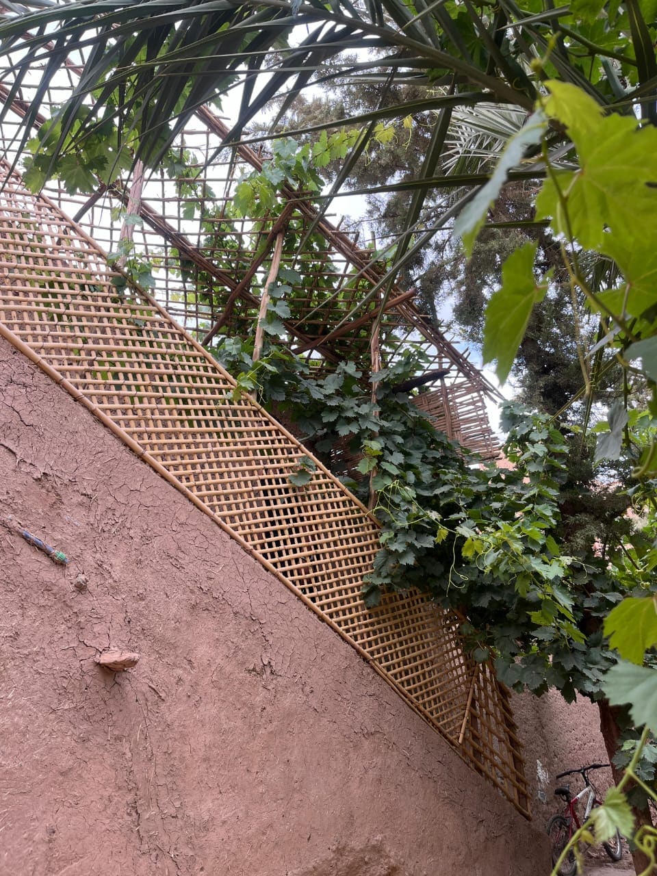 Palmas Magramane - Guesthouses for Rent in Skoura, Drâa-Tafilalet ...