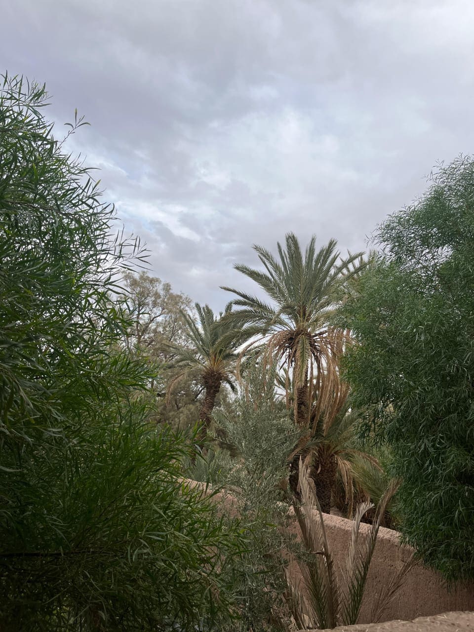 Palmas Magramane - Guest houses for Rent in Skoura, Drâa-Tafilalet ...