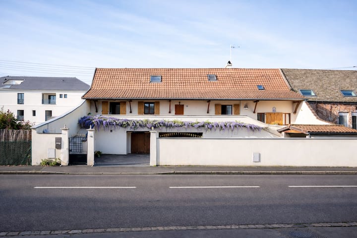 Funhouse Jacuzzi Wifi Parking - Chalon-sur-Saône