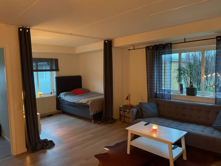 Neptunigatan - Sundsvall