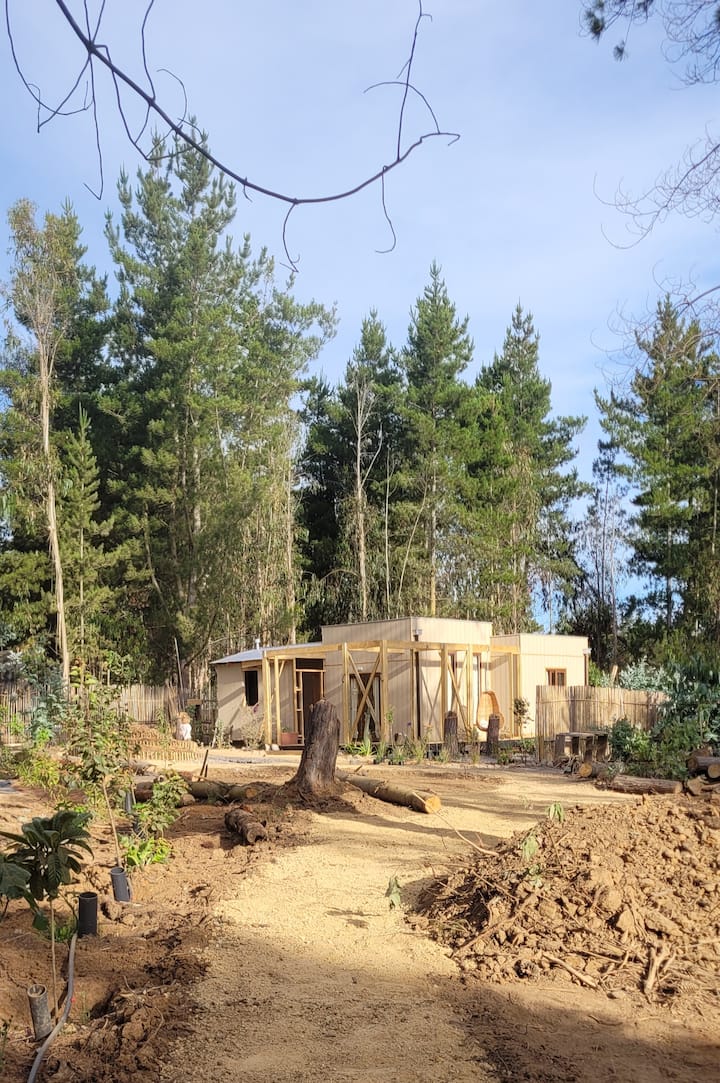 Casa Boutique De Desconexión Y Silencio Isla Negra - El Tabo