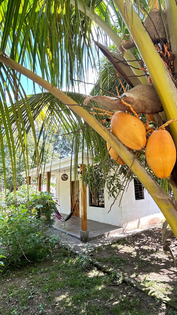 Tamarindo Sweet House / Solar-powered A/c - Nicaragua