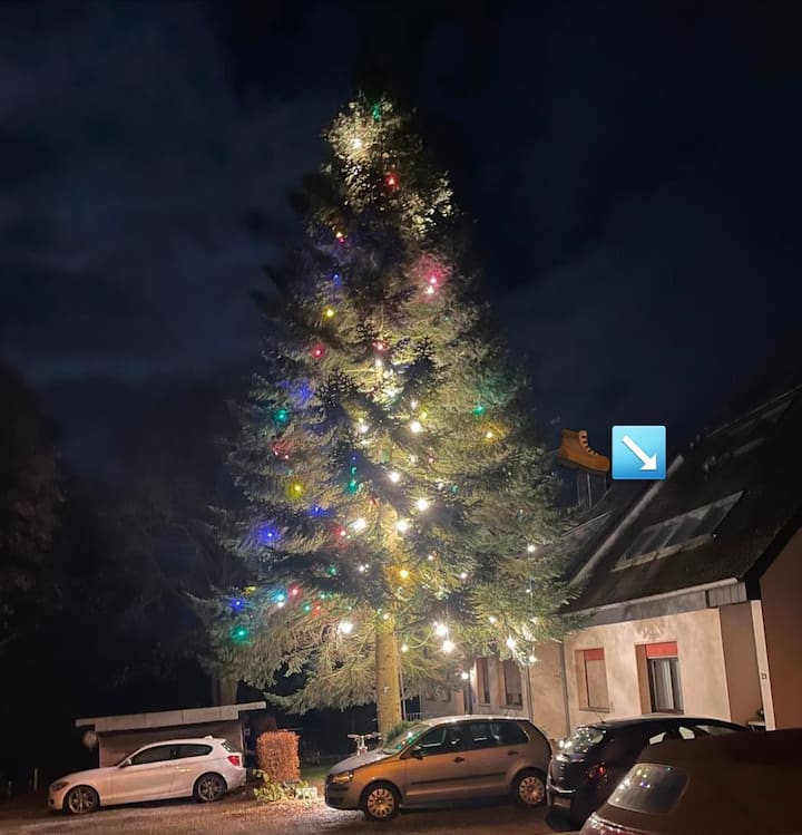 Ferienwohnung Am Wald In
52078 Aachen - Aachen