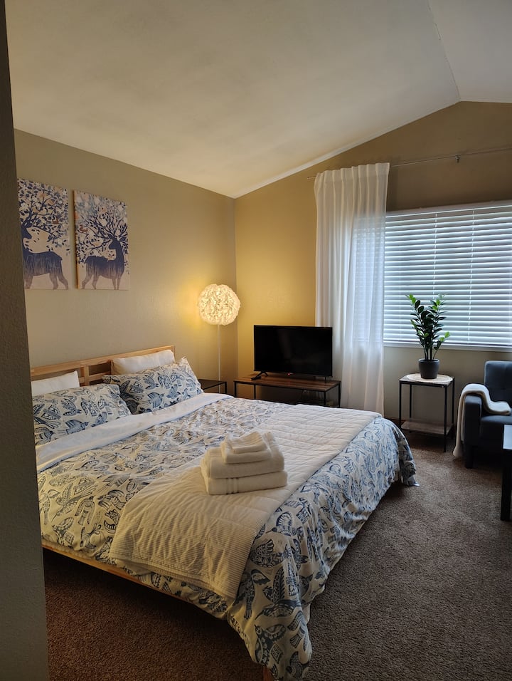 Comfortable Master Bedrum Near Airport & Downtown - Sacramento, CA
