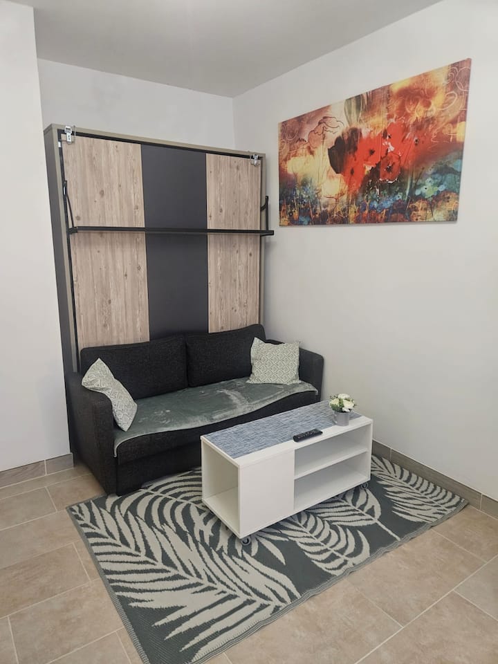 Studio Agen Cœur De Ville - Agen