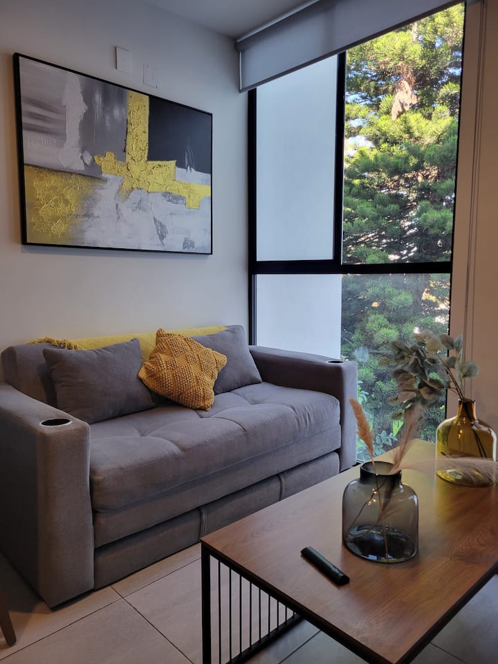 Depa Moderno En Tequis, Carranza |Gym & Parking - San Luis Potosí