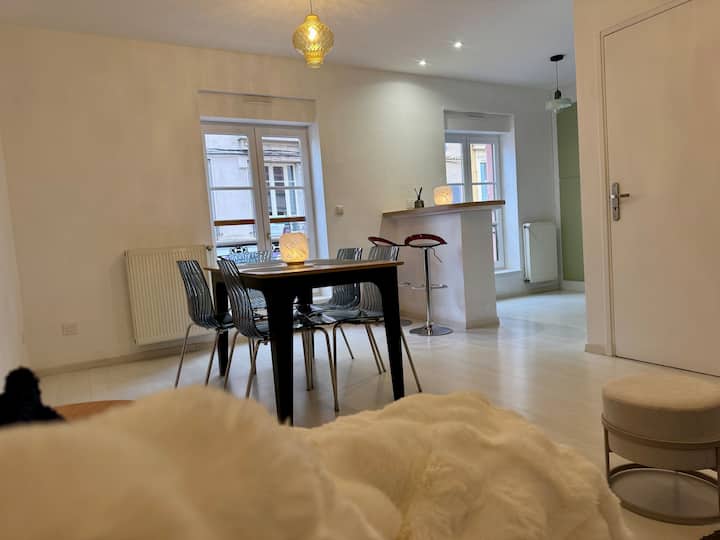 Appartement T3 Duplex Hypercentre - Roanne