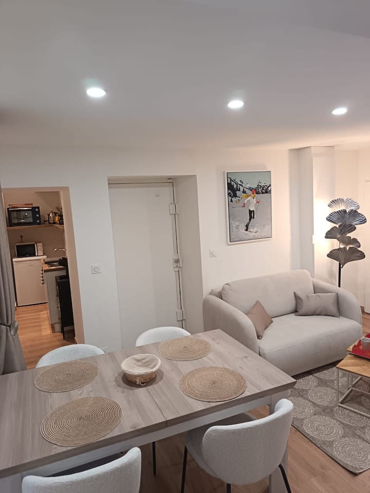 Chambéry Centre * Parking * Tout Compris - Chambéry