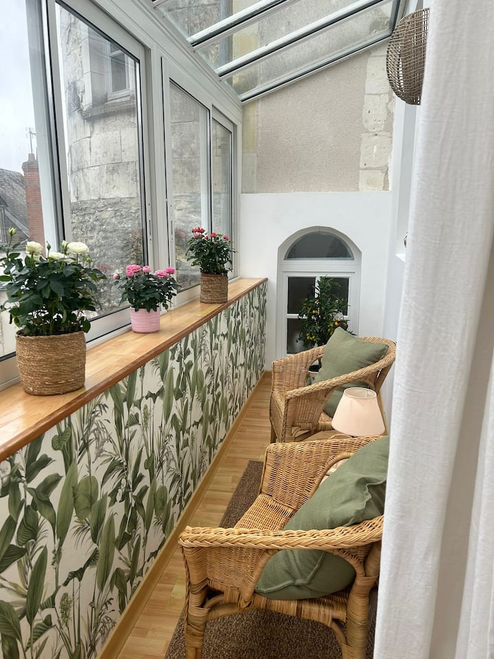 Appartement Cœur De Loches - Loches