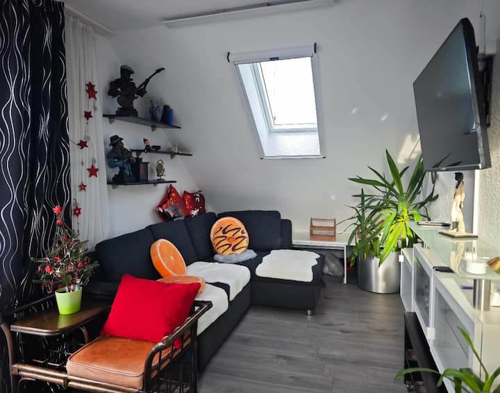 Schlossblick Meerholz - Gelnhausen