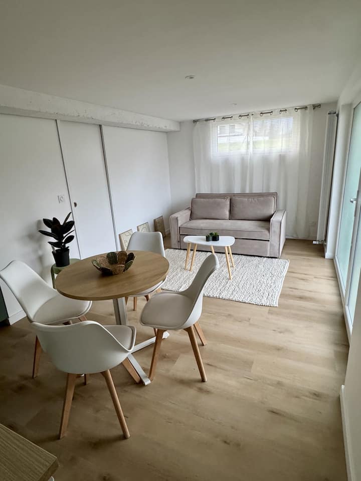 Charmant 2 Pièces Meublé – Proche Cern/genève/jura - Saint-Genis-Pouilly