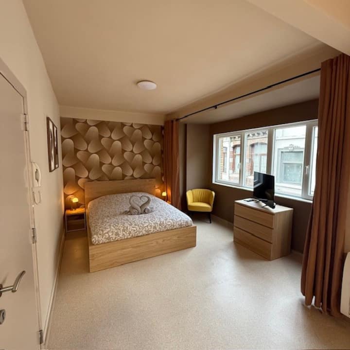 Studio-balcon Cozy (Center Of Mons) - Mons