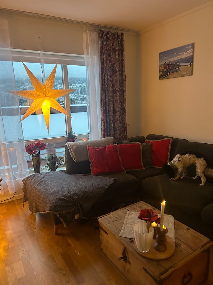 Lägenhet Nära Lift Och Skidbussar I Tegefjäll - Åre