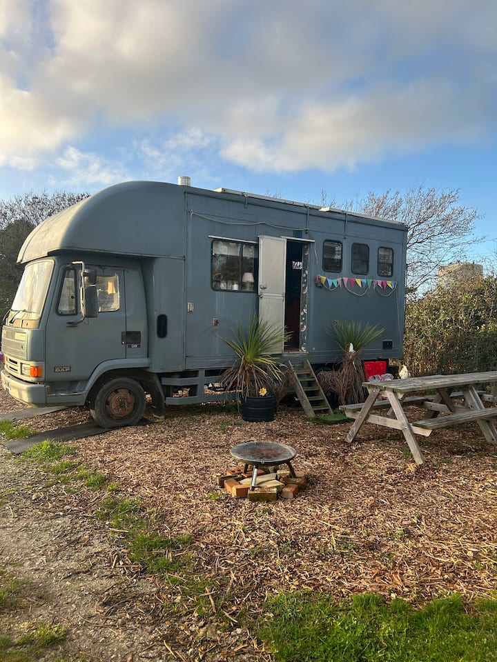 Big John The Cosy Horsebox Box - Bridport
