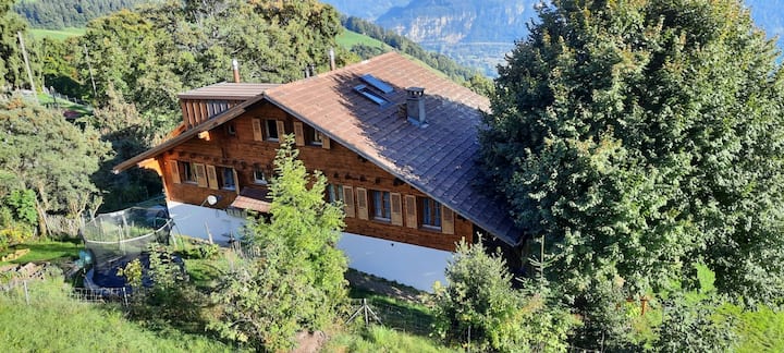 Ferienwohnung Mit Berg Und Seesicht - Beatenberg