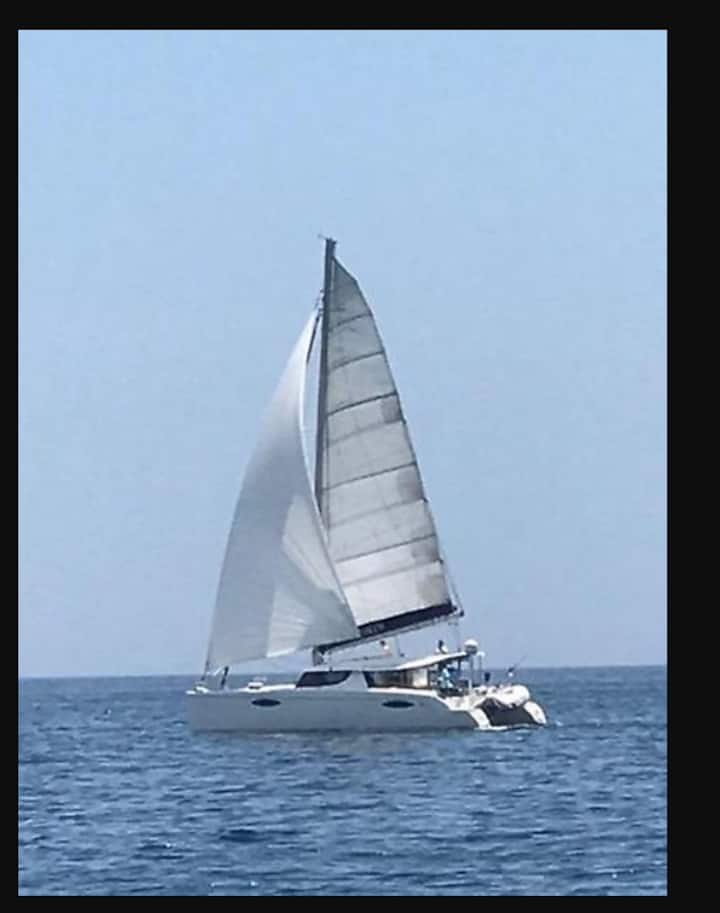 Catamaran Anse Mitan Baie Des Trois-ilets - Les Anses-d'Arlet