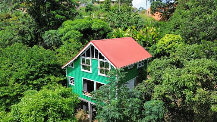 Loft Apartment In The Trees - Grenada