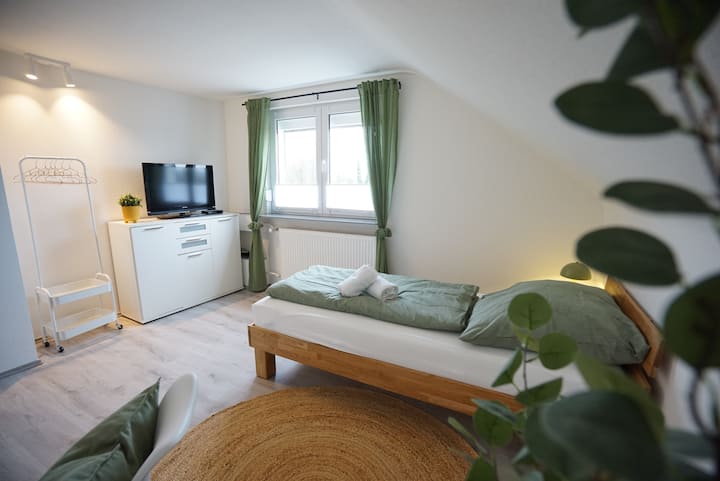 4-room Apartment Near Sinsheim & Heidelberg - Neckarsteinach