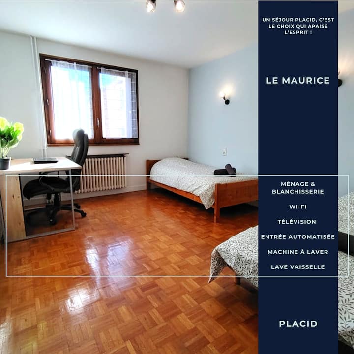 Le Maurice - Proche Hôpital/hyper Centre - Wifi - Saint-Léger-les-Mélèzes