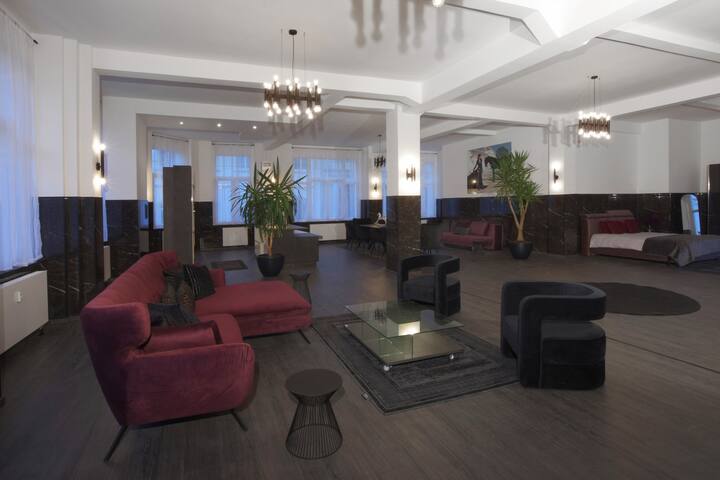 White House Meerane - 200 Sqm Loft - Crimmitschau