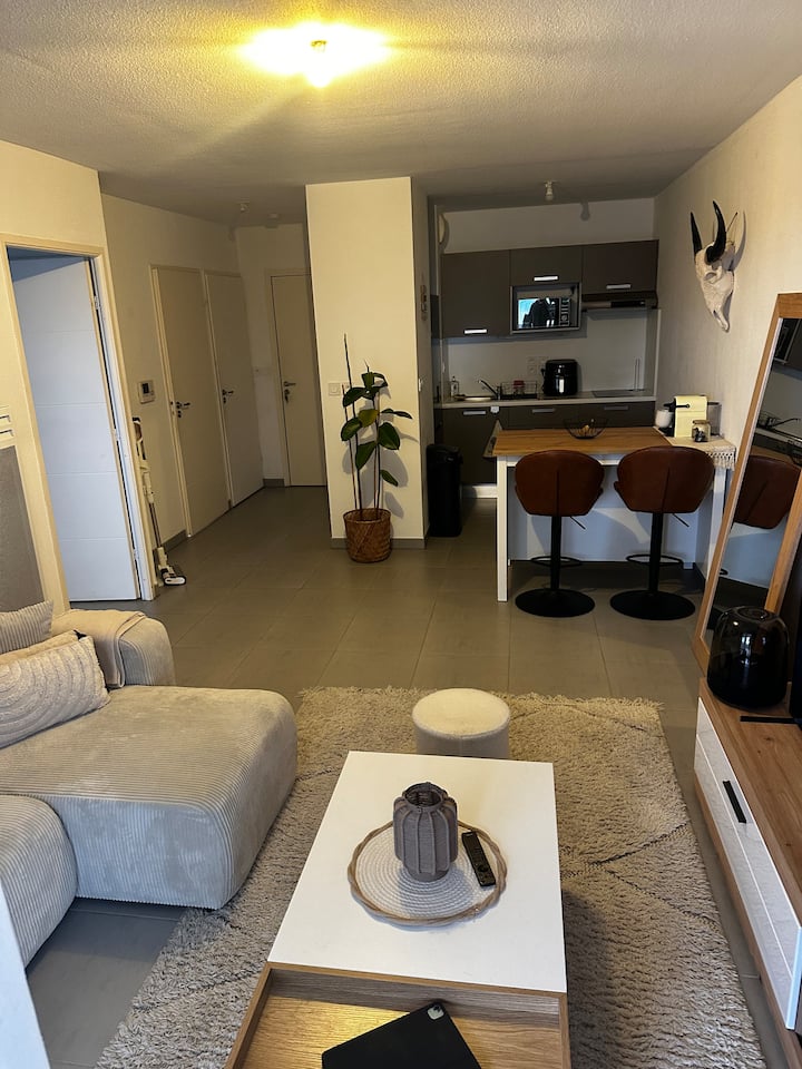 T2 Lumineux Avec Grande Terrasse Ensoleillée - Saint-Jean-de-Védas