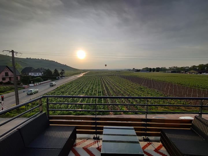 Domaine Des Vignes - Riquewihr