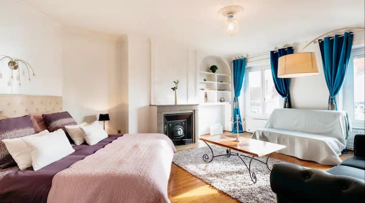 Grand Appartement Luxueux, 6 Ch, En Hyper-centre - Lyon