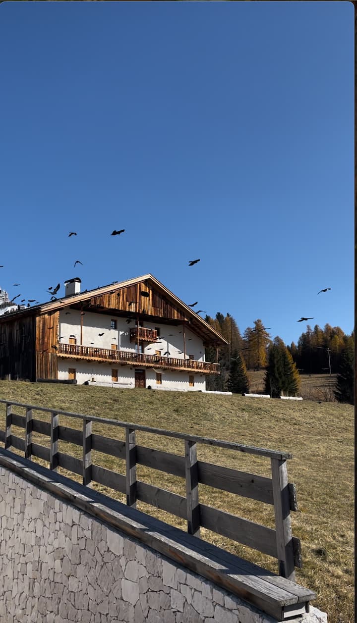 Una Baita In Legno A Cortina - Cortina d'Ampezzo