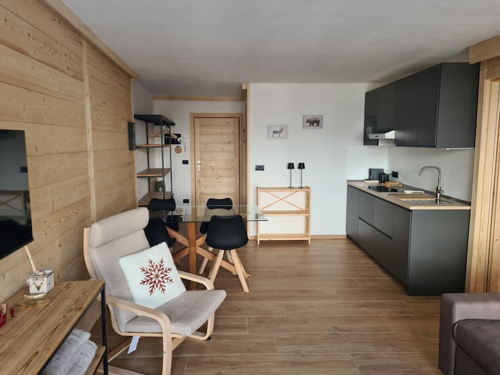 Charmant Deux Pièces Sur Les Pistes - Arolla