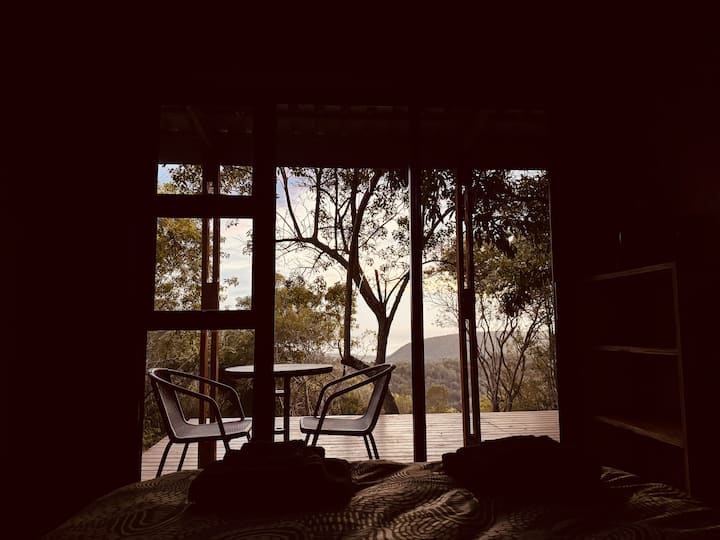 The Forrest Canary 1 - Wilderness