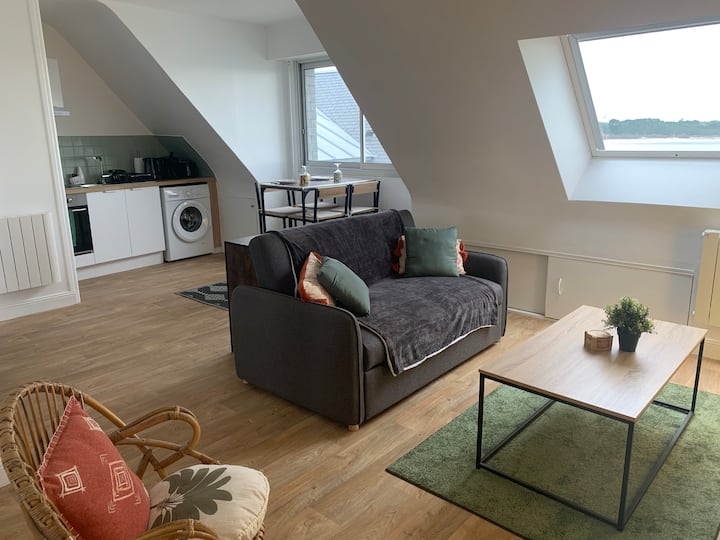 Front De Mer 30m2 - Tout à Pied - Wifi - Groix