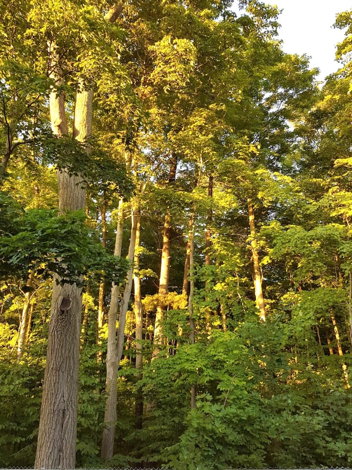 Cozy Modern 2br Haven•prime Area•parking & Laundry - Vaughan