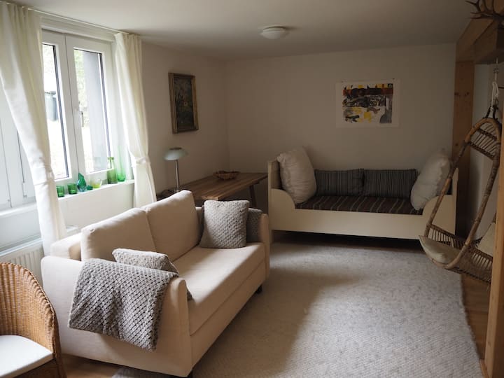 Gemütliche 2-zimmerwohnung Am Waldesrand - Grafenhausen