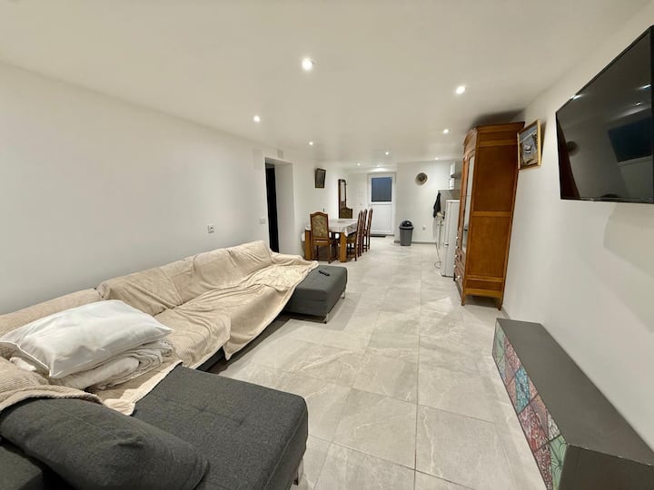 Grand Logement En Souplex Entier. - Castres