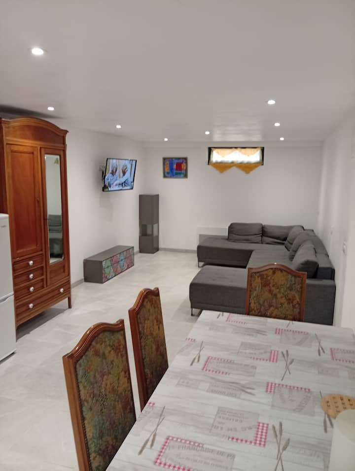 Grand Logement En Souplex Entier. - Castres