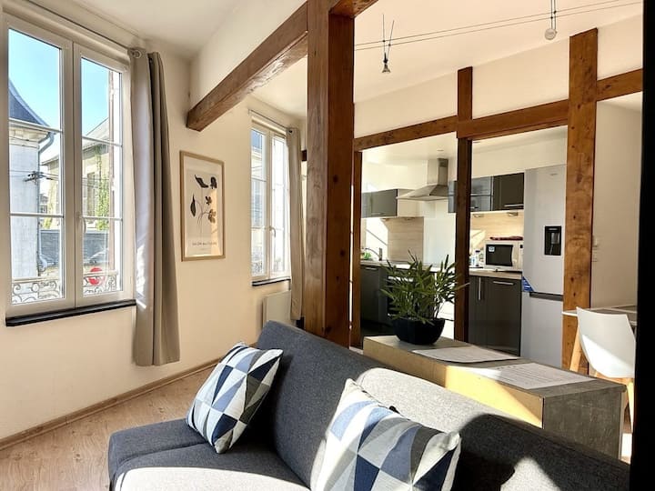 L'appartement Du Centre - Châlons-en-Champagne