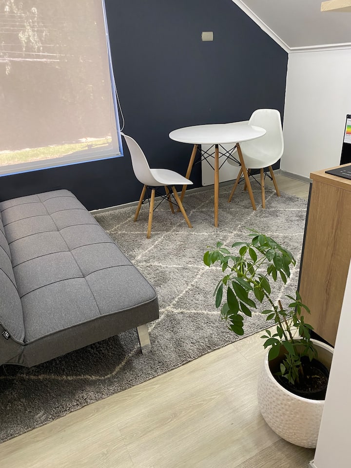 Departamento A Minutos Del Centro.(5) - Valdivia