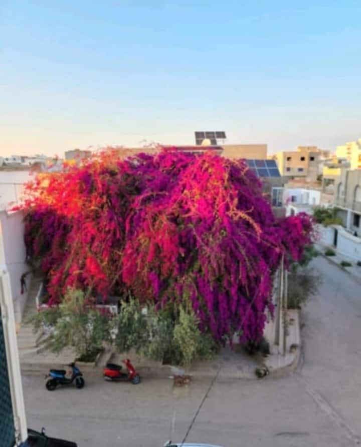 New Cozy Family Spot - Mahdia