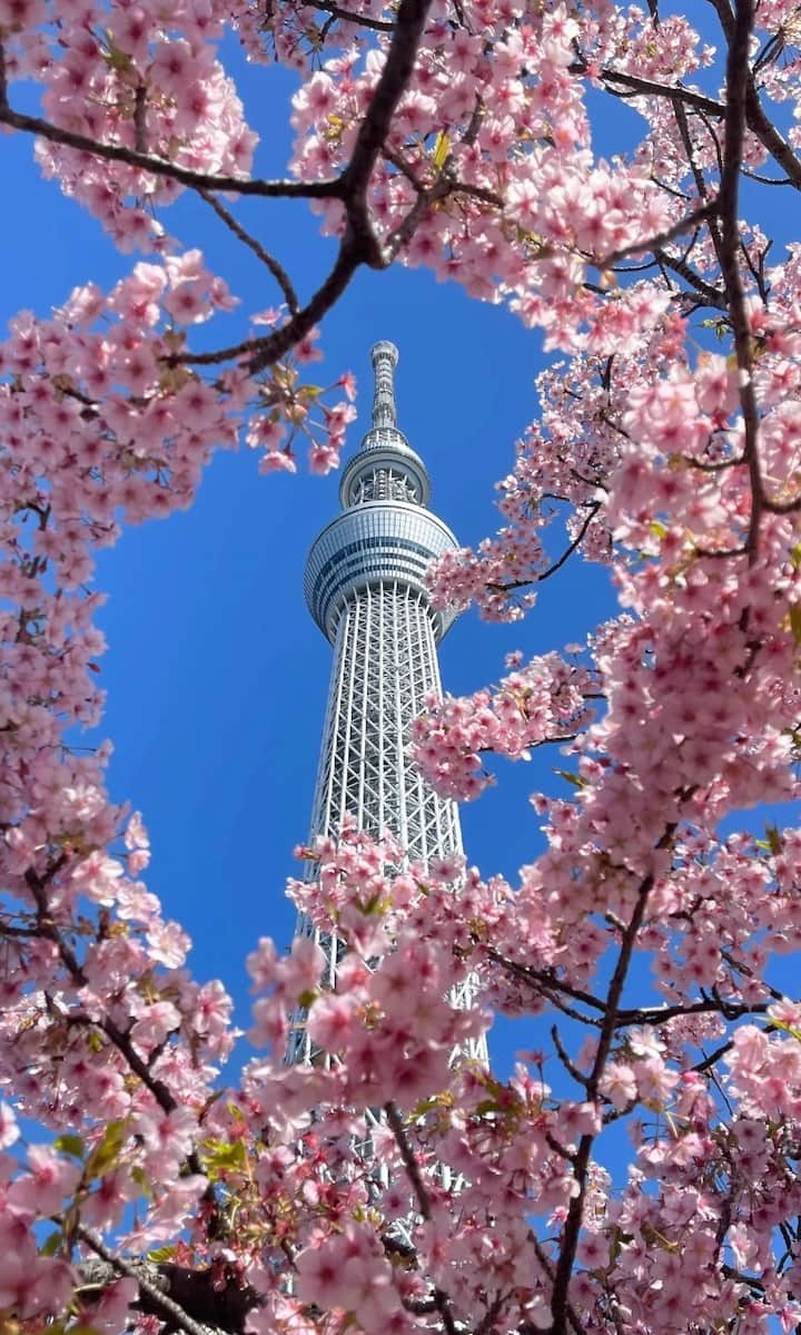 4 Min To Akihabara | 2 Min To Ueno | 24h Check-in - Tokyo