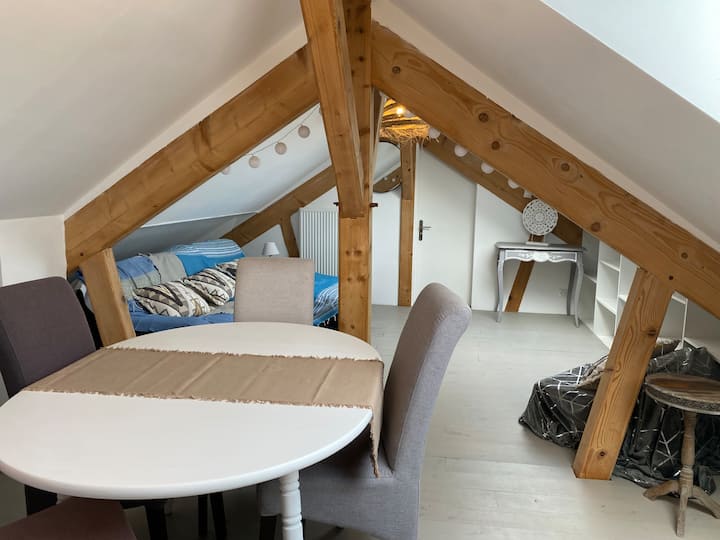 Appartement Coccon Entre Lacs Et Montagnes - Chambéry