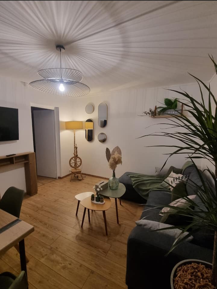 T2 Spacieux Entre Lacs Et Montages - Les Carroz d'Arâches