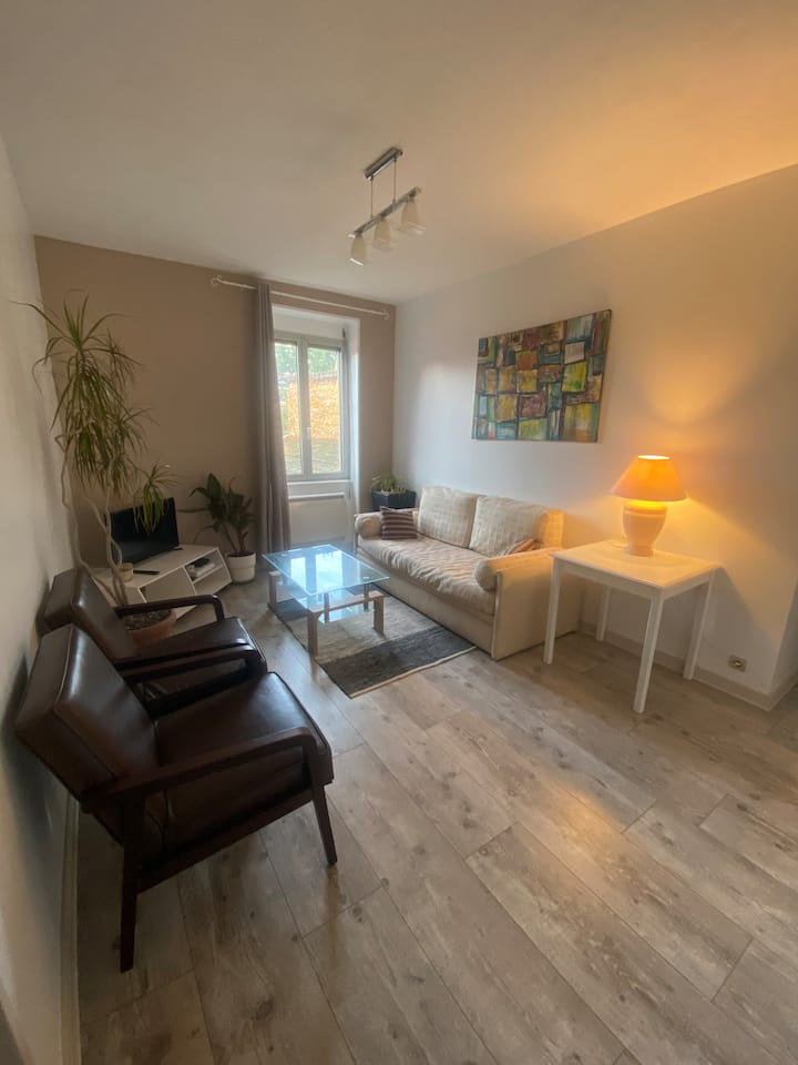 T2 Promenoir, Proche Gare - Villefranche-sur-Saône