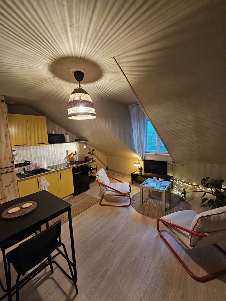 Appartement T2, Proche De La Gare Et De L'hôpital. - Allier