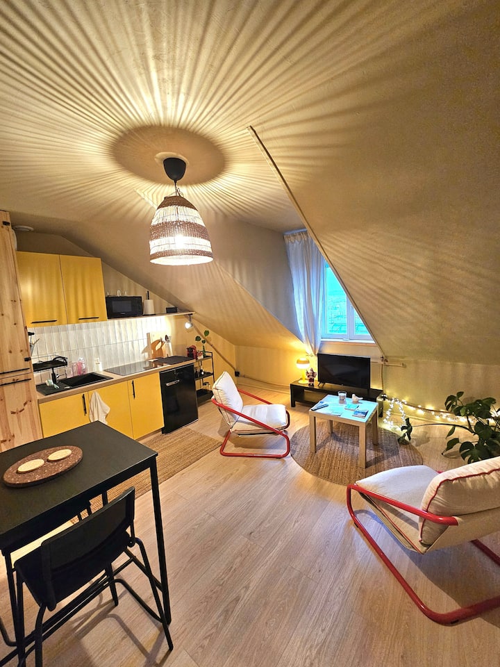 Appartement T2, Proche De La Gare Et De L'hôpital. - Vichy