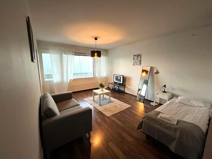 Niittytie 2 - Nummela