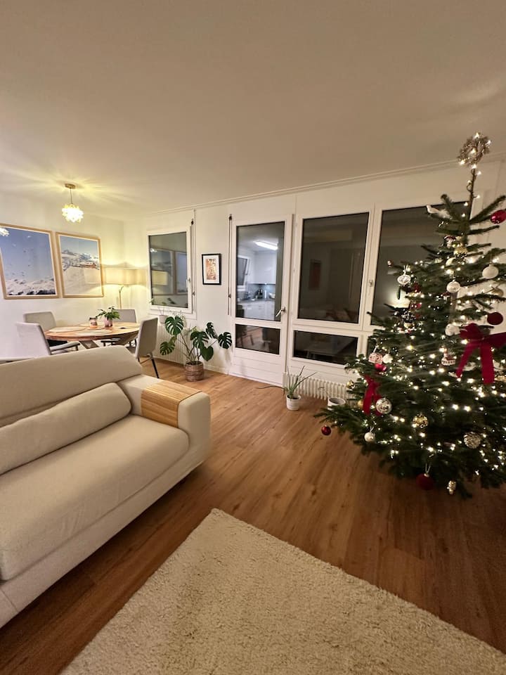 Christmas And New Year Next To Lake Zug - Zug